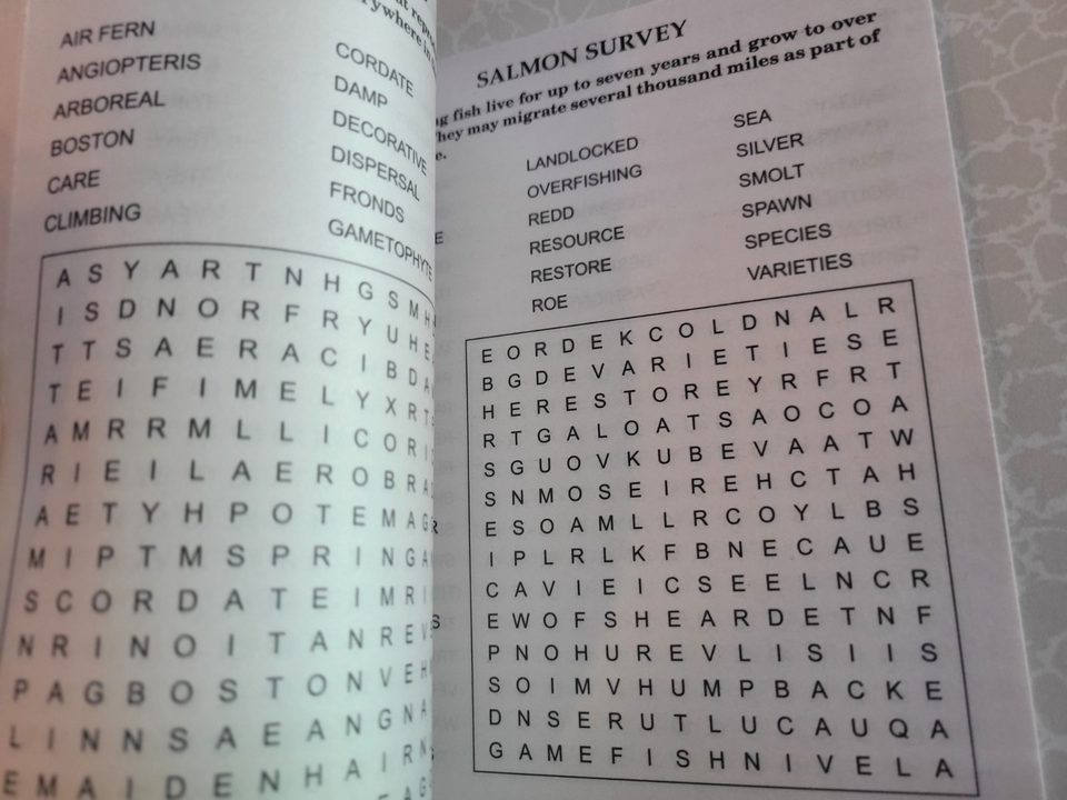 KAPPA Work Find Puzzle Books - Lot of 4 - Super-Jumbo-Big Book-Superb ...
