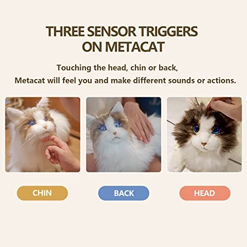 metaCat - Lifelike Interactive Companion Pets Robot Cat Ragdoll_without ...