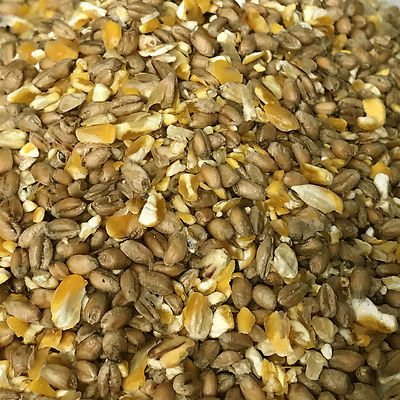 20Kg Deluxe Mixed Poultry Corn Extra with 50% Split Maize and 50% Whole ...