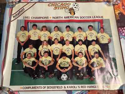 1981 CHICAGO STING CHAMPIONS AMERICAN SOCCER 18x21" POSTER | eBay