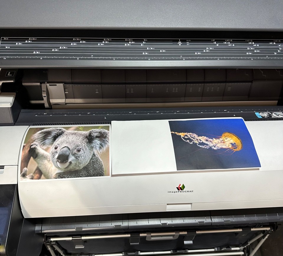 Canon imagePROGRAF iPF785 36-Inch Color Inkjet Large Format Printer ...