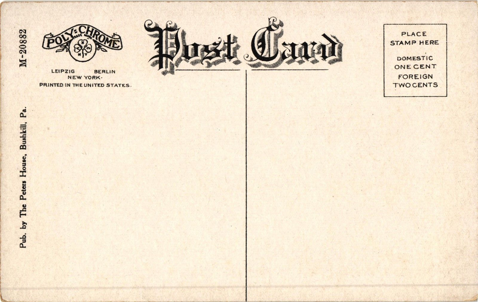 In the Glen Bushkill Falls PA White Border Unposted Postcard 1920s | eBay