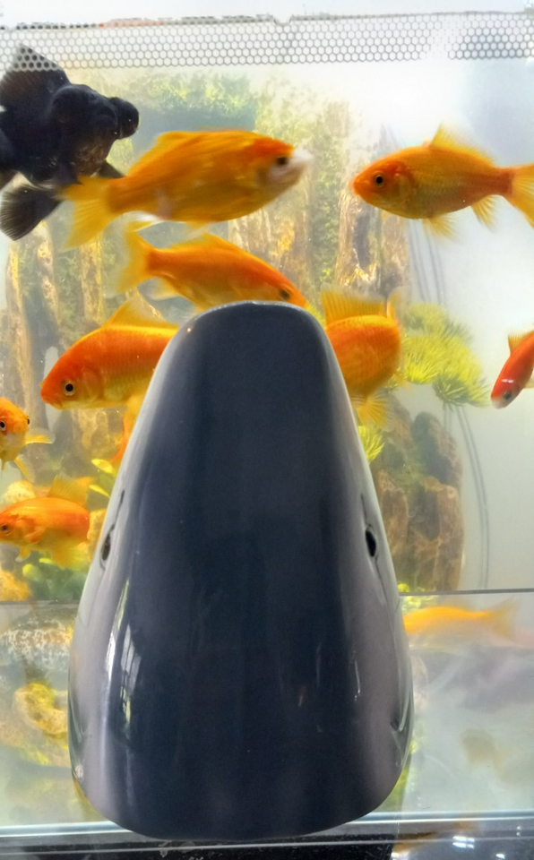 Jaws Aquarium Decoration with Bloody Open Mouth - Fish Tank Novelty | eBay