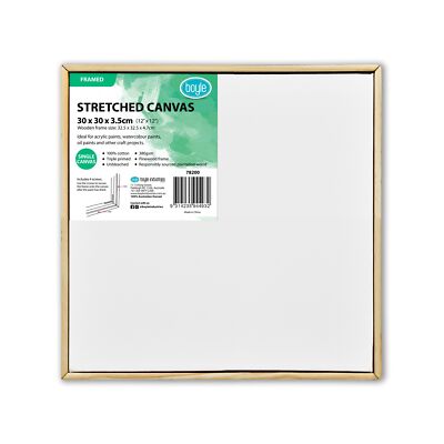 Framed Stretched Canvas 30 x 30cm (12x12") FREE POSTAGE | eBay Australia