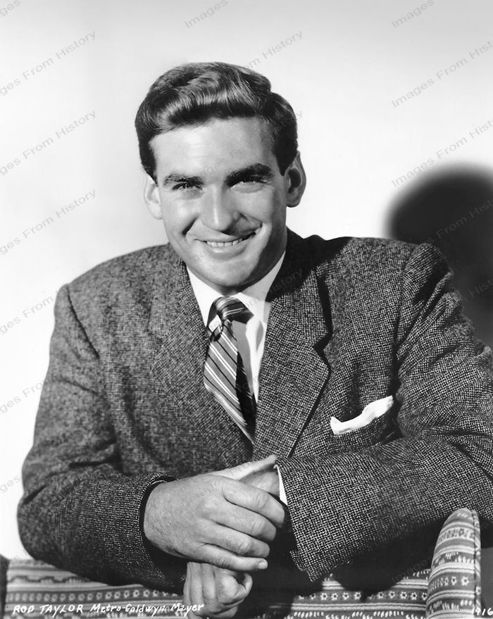 8x10 Print Rod Taylor Studio Portrait #RT722 | eBay