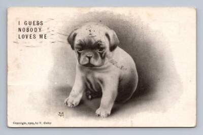 Sad Little Lonely Dog "Nobody Loves Me" Cute Antique PC Champaign ...