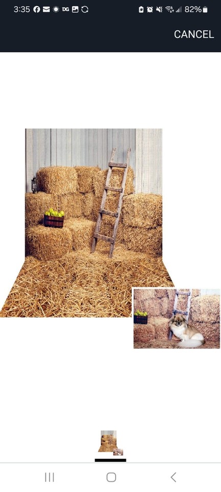 5x10ft Fall Photography Backdrops Farm Haystack Barn Background Photo ...