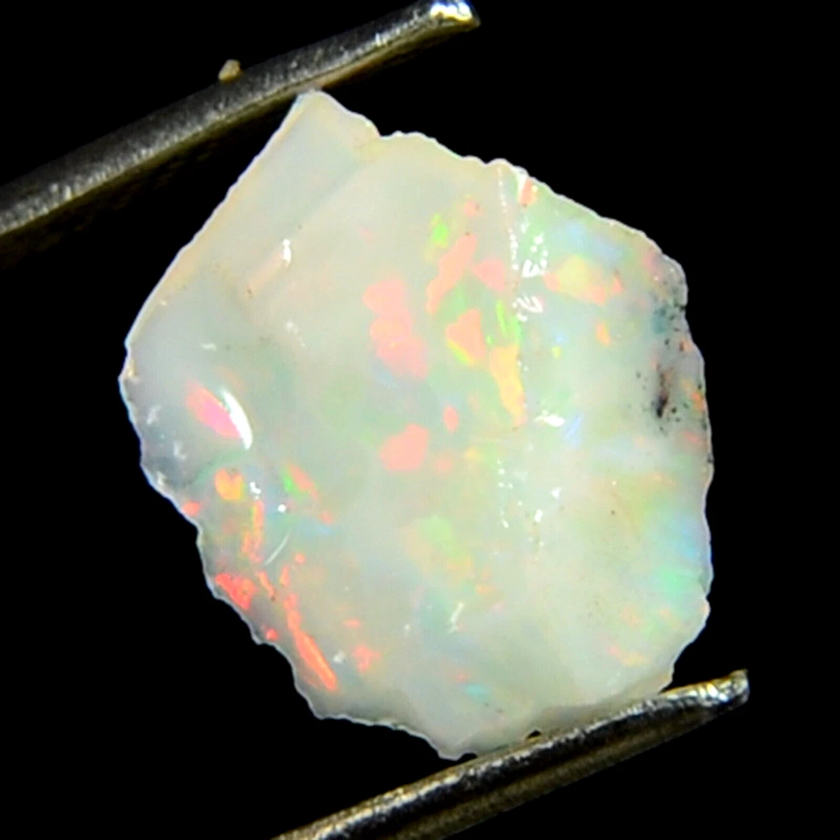 Rough White Opal