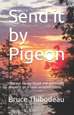 Send It By Pigeon: How Our Family Found And Purchased Property On A ...