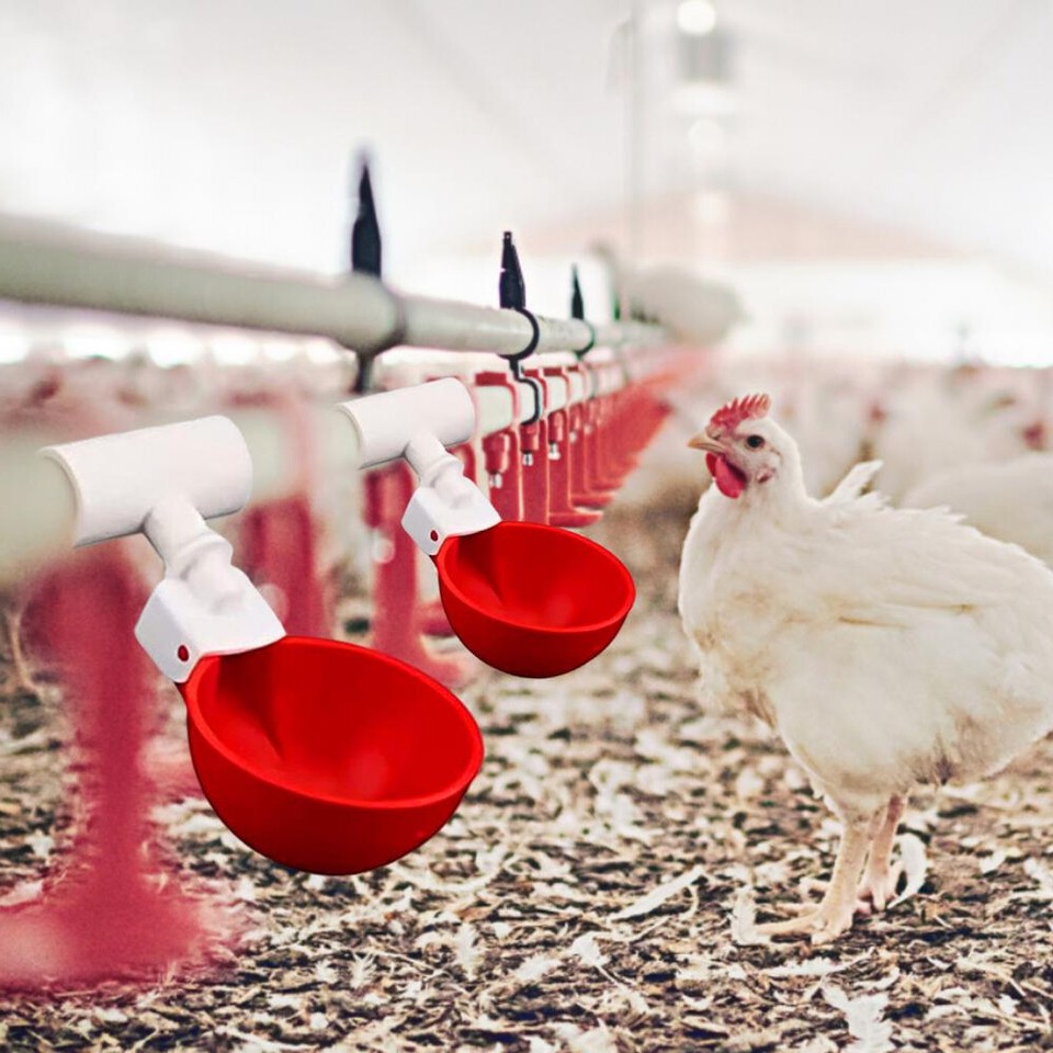 20Pcs 1/2" Chicken Waterer PVC Tee Fittings Fully Automatic Poultry ...