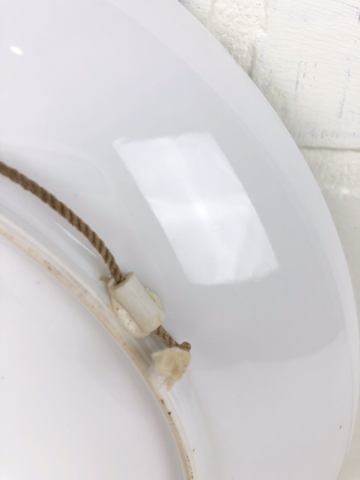 Redhead Ducks Loons Geese Mallards Decorative Plate Painted Plate | eBay