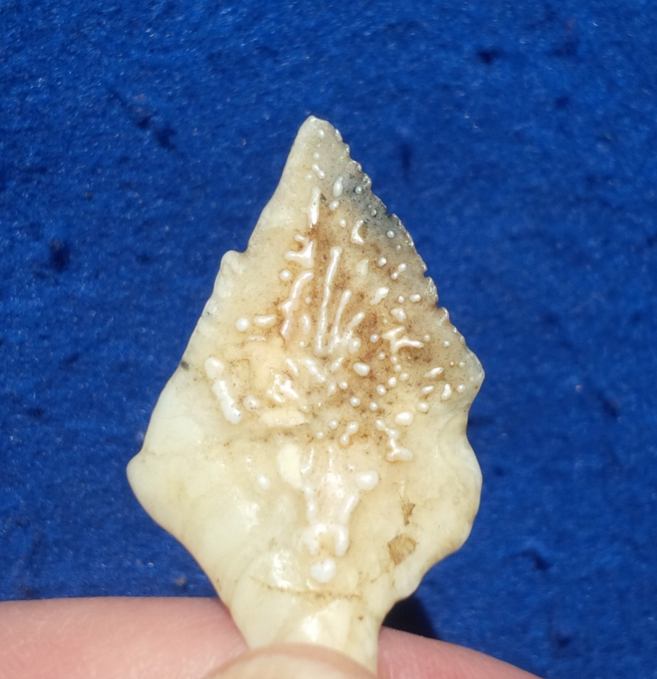 1-3/4" GAR SCALE TYPE INDIANA ARROWHEAD Projectile Point AUTHENTIC ...