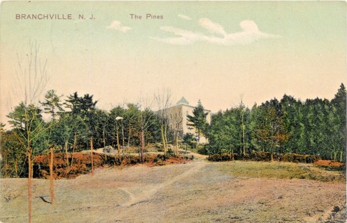 A View Of "The Pines", Branchville, New Jersey NJ 1908 | eBay