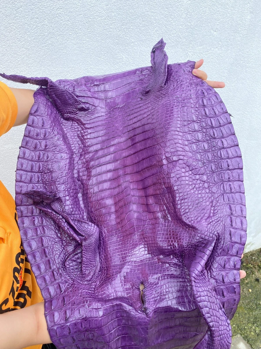 Purple Alligator Skin