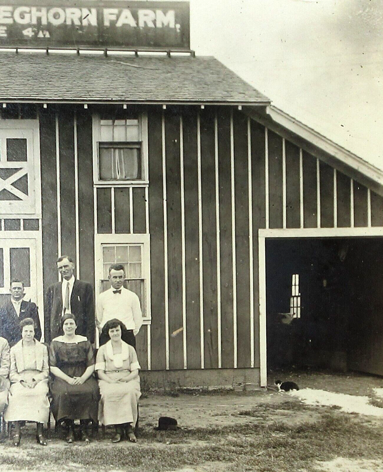 Antique Springfield MO Cabinet Photo Patterson's Poultry Leghorn Farm ...