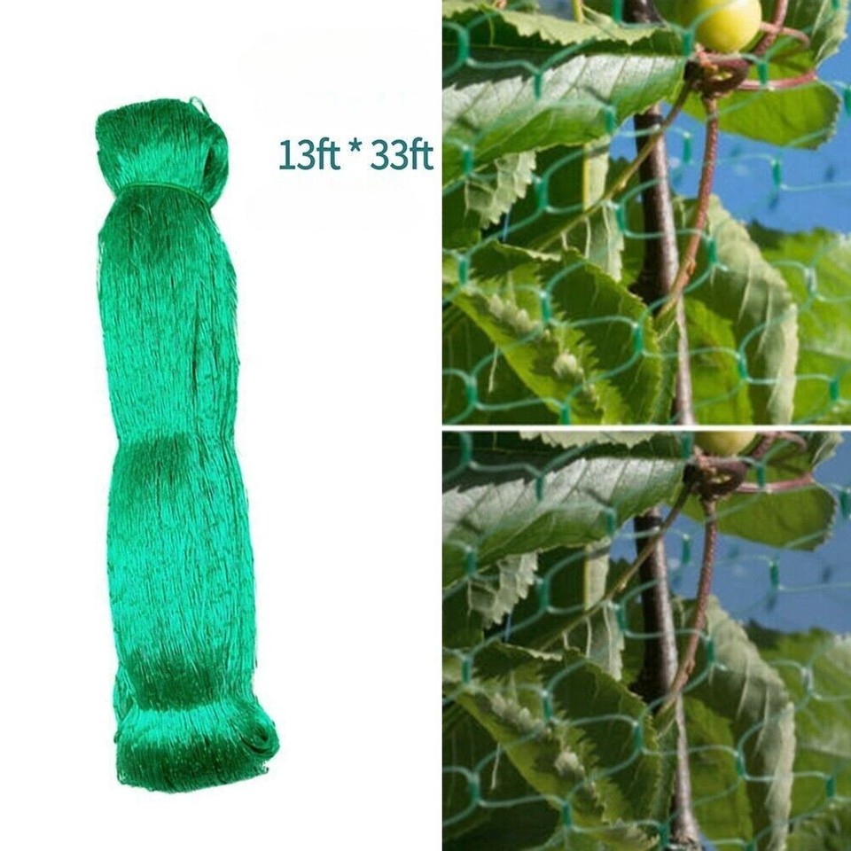 33FT Anti Bird Netting Pond Net Protection Tree Crops Plants Fruits ...