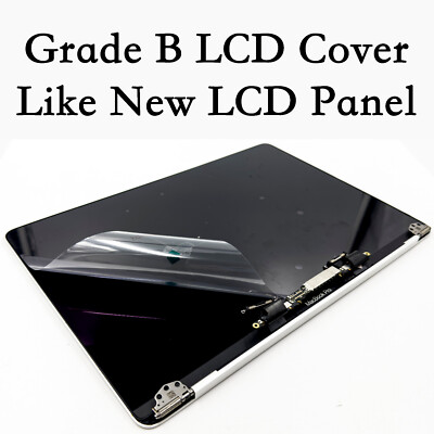 Genuine Grade B Silver LCD Screen Assembly 13" A2289 A2251 2020 | eBay