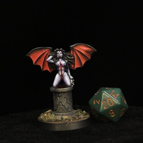 DND Succubus| Vampire | Demon Painted RPG Miniature Pathfinder Metal | eBay