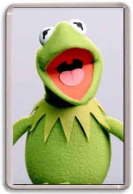 FRIDGE MAGNET - KERMIT THE FROG - Large - Cute Funny Muppets | eBay UK