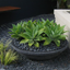 Natural Blue Decorative Landscaping Garden & Aquarium River Pebble ...