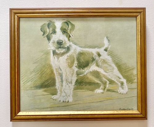 Vintage Print Dog Jack Russell Terrier By Keeble -Smith Artist In 1930s ...