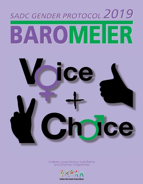 Sadc Gender Protocol 2019 Barometer von Shamiso Chigorimbo (2019 ...