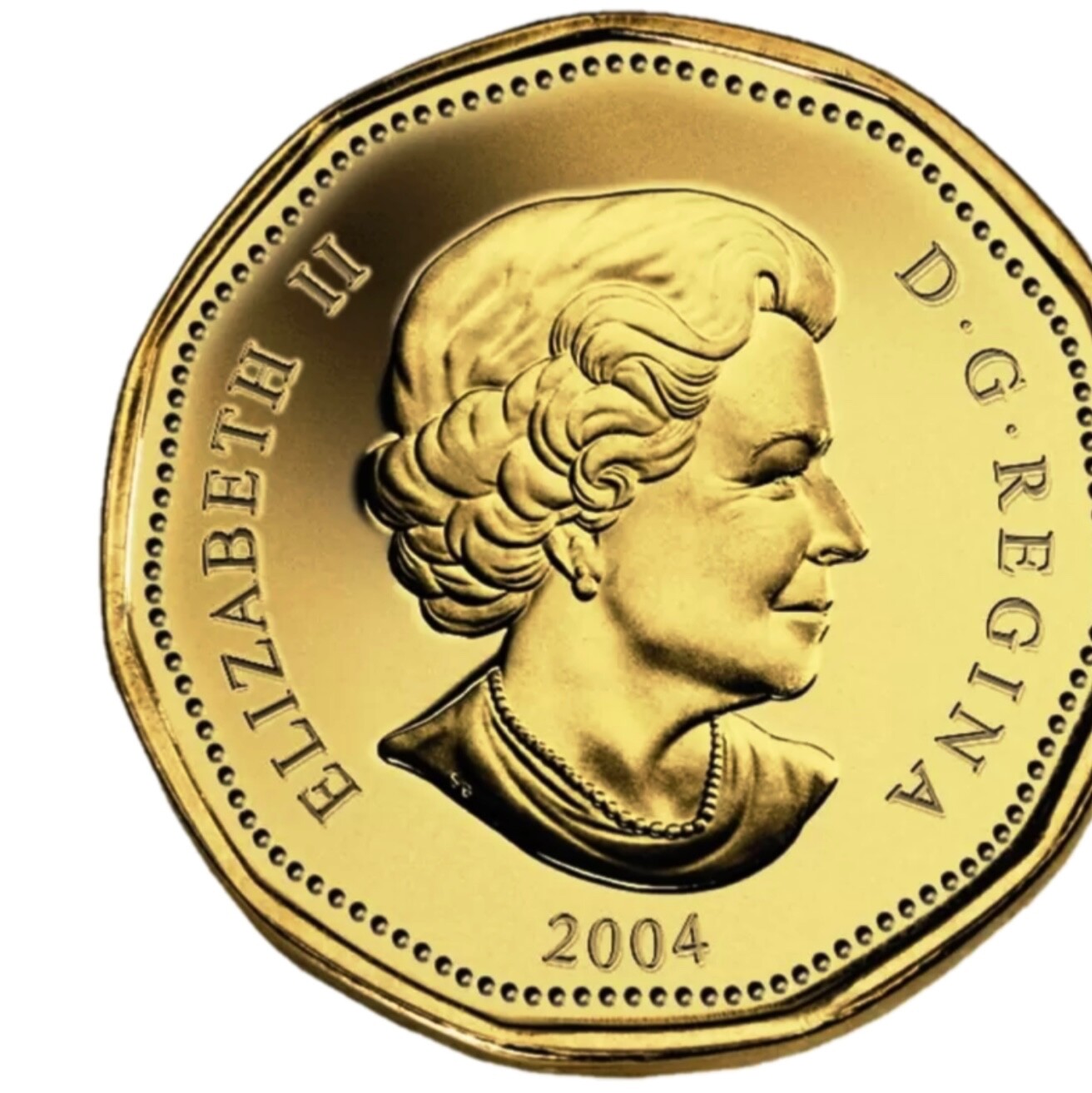 2004 Canada $1 One Dollar Coin ELUSIVE LOONIE - Rare, UNC | eBay