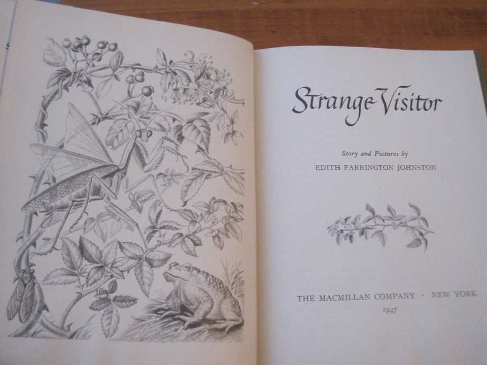 1947 Strange Visitor by Edith Farrington Johnston (Signed & Inscribed ...
