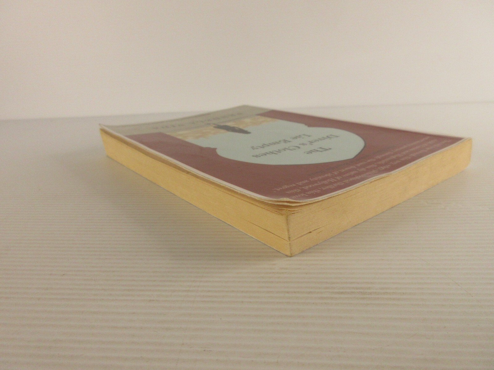 The Driver's Clothes Lie Empty By Vendela Vida Paperback Mystery ...