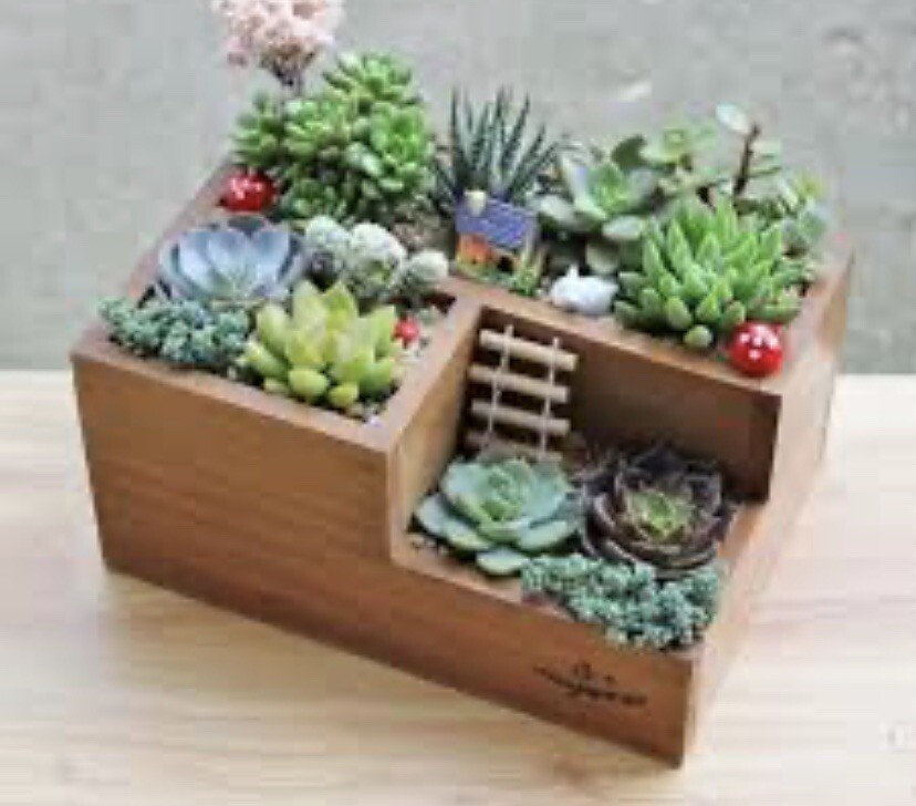 Wooden Organizer/ Planter D+ dzoguerzic Remote Control Caddy Wooden Box ...