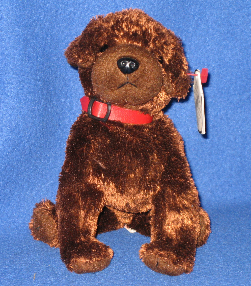 TY MUDDY the DOG BEANIE BABY - MINT with MINT TAGS | eBay