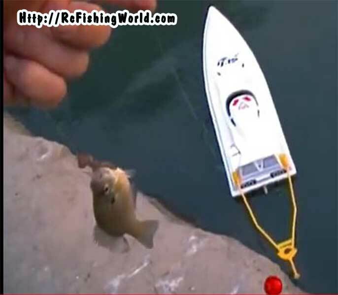 FLYING FISH RC FISHING BOAT -CATCH REAL FISH! 30" FAST! | eBay