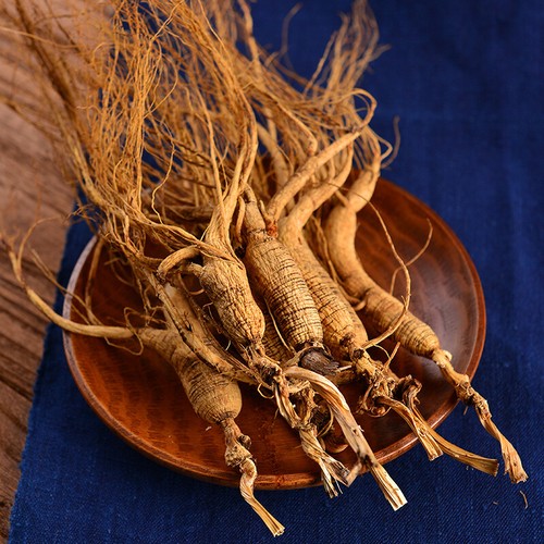 Dry Transplant Wild Ginseng Root 10-15 Years relative integrity ginseng ...
