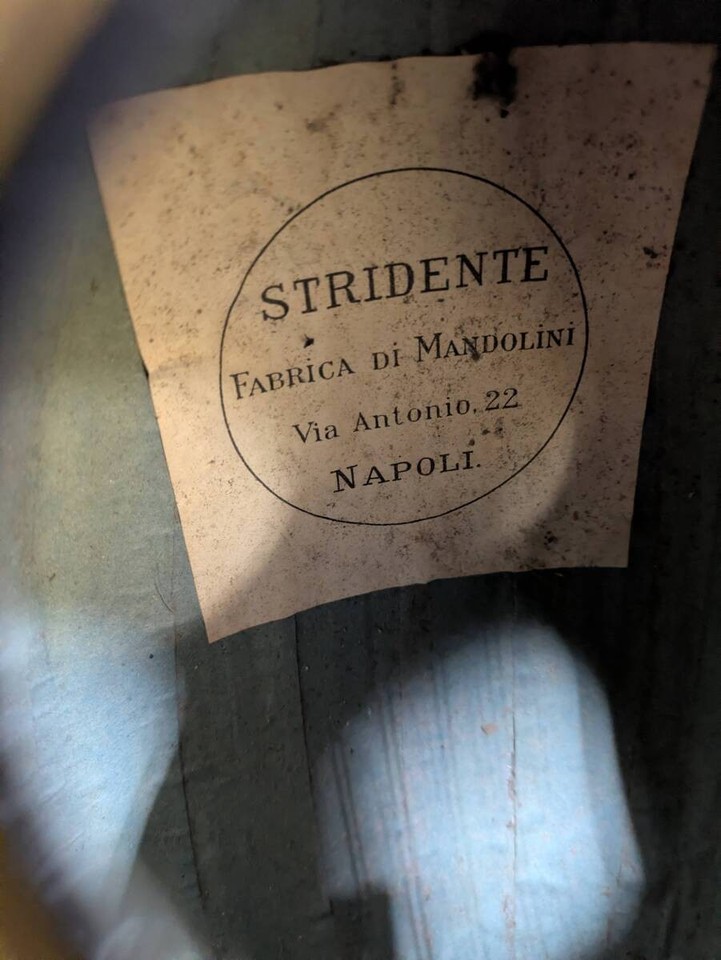 Stridente Old Mandolin | eBay