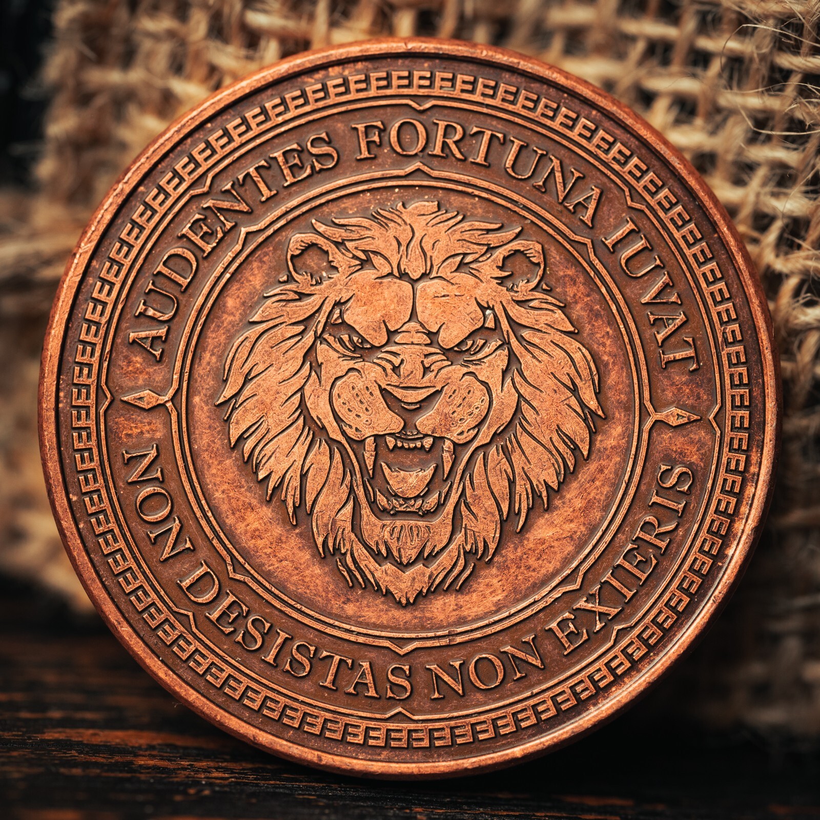 Audentes Fortuna Iuvat Coin | EDC Reminder Coins | Gift Husband Friend ...
