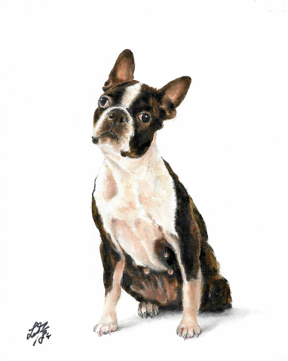 Boston Terrier Oil Painting