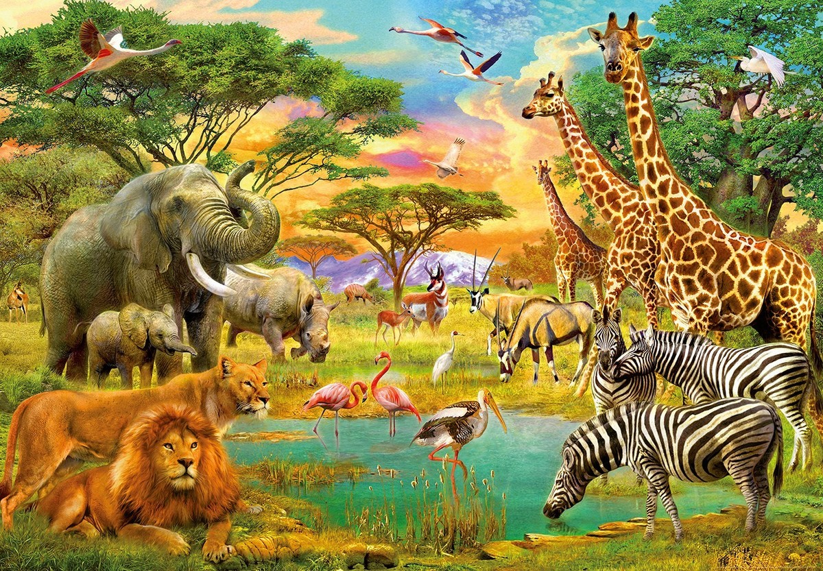 Animal Wallpaper