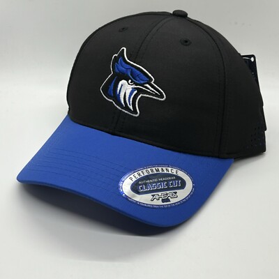 Raytown Blue Jays Class Of 1973 Hat Adult One Size Black Blue ...