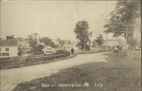 Harrington Maine ME Town View Real Photo c1900s Postcard | eBay