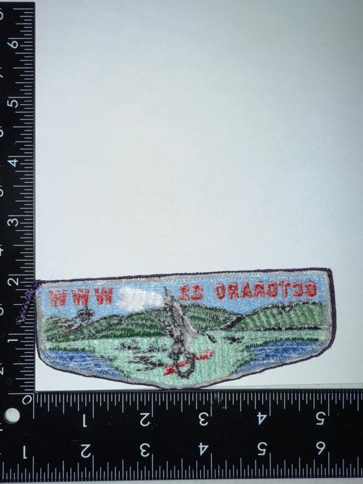 Vintage BSA Boy Scouts OA Octoraro 22 WWW Chester Council PA Patch ...