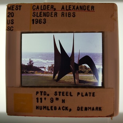 Alexander Calder Slender Ribs 1963 Art 35mm Glass Slide | eBay