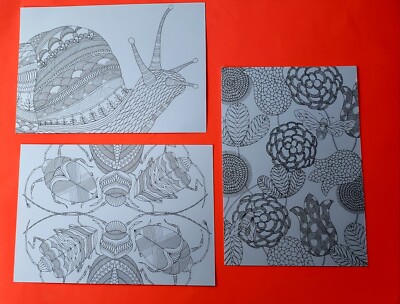 Set 3 Insect Bug Postcards to Color Animal Kingdom Millie Marotta Snail ...