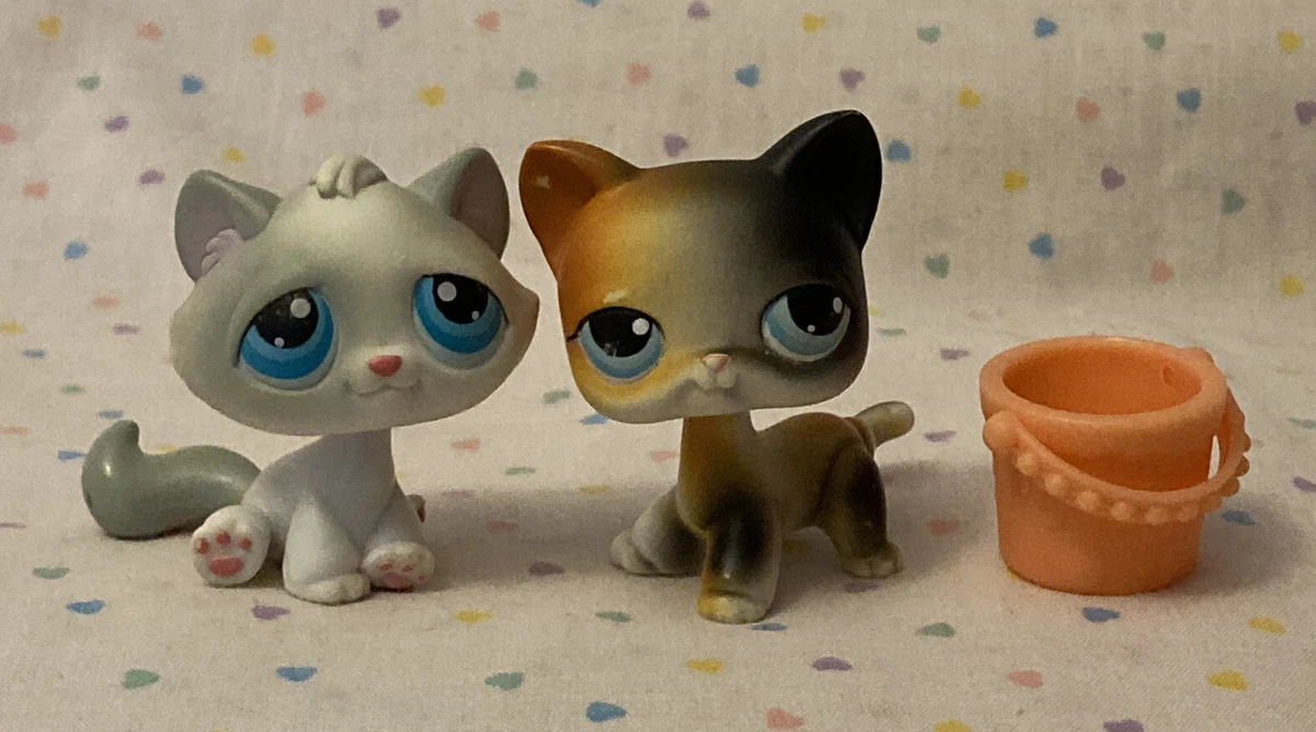 Littlest Pet Shop Cat Ebay
