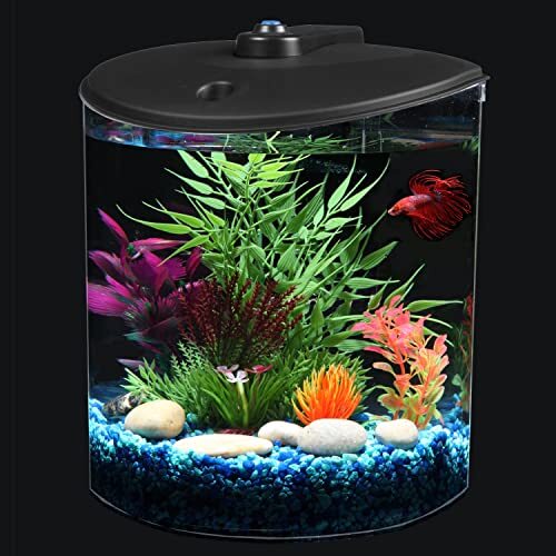 AquaView 1.5-Gallon Fish Tank with LED Lighting and Power Filter | eBay