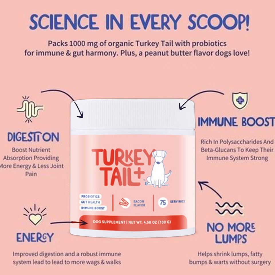 Turkey Tail Mushroom For Dogs - Powder Guards Certified Organic ...