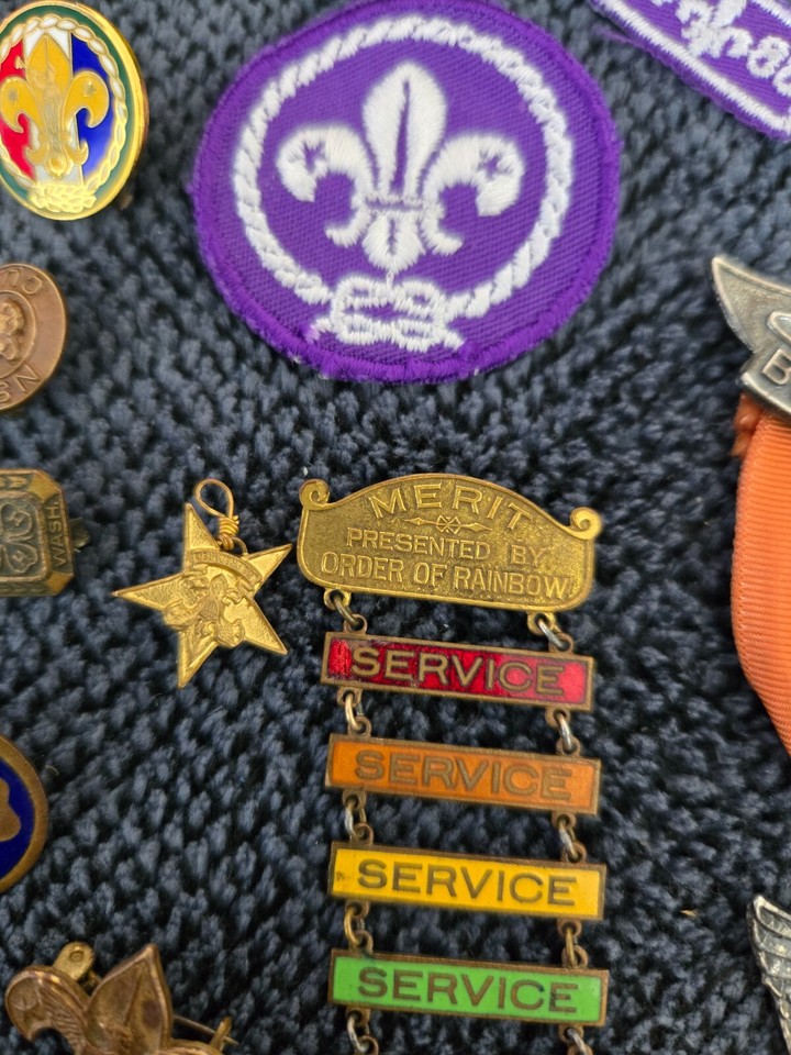 Junk Drawer Lot of 20+ Youth organizations BSA GSA 4H Rainbow Pins ...