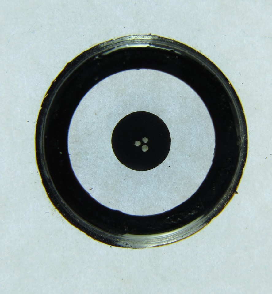 Antique microscope slide by Sinel. Foraminifera. Miliolina subrotunda ...