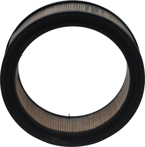 Donaldson Cellulose Air Filter P530628 New fits John Deere GT235E Lt166 ...