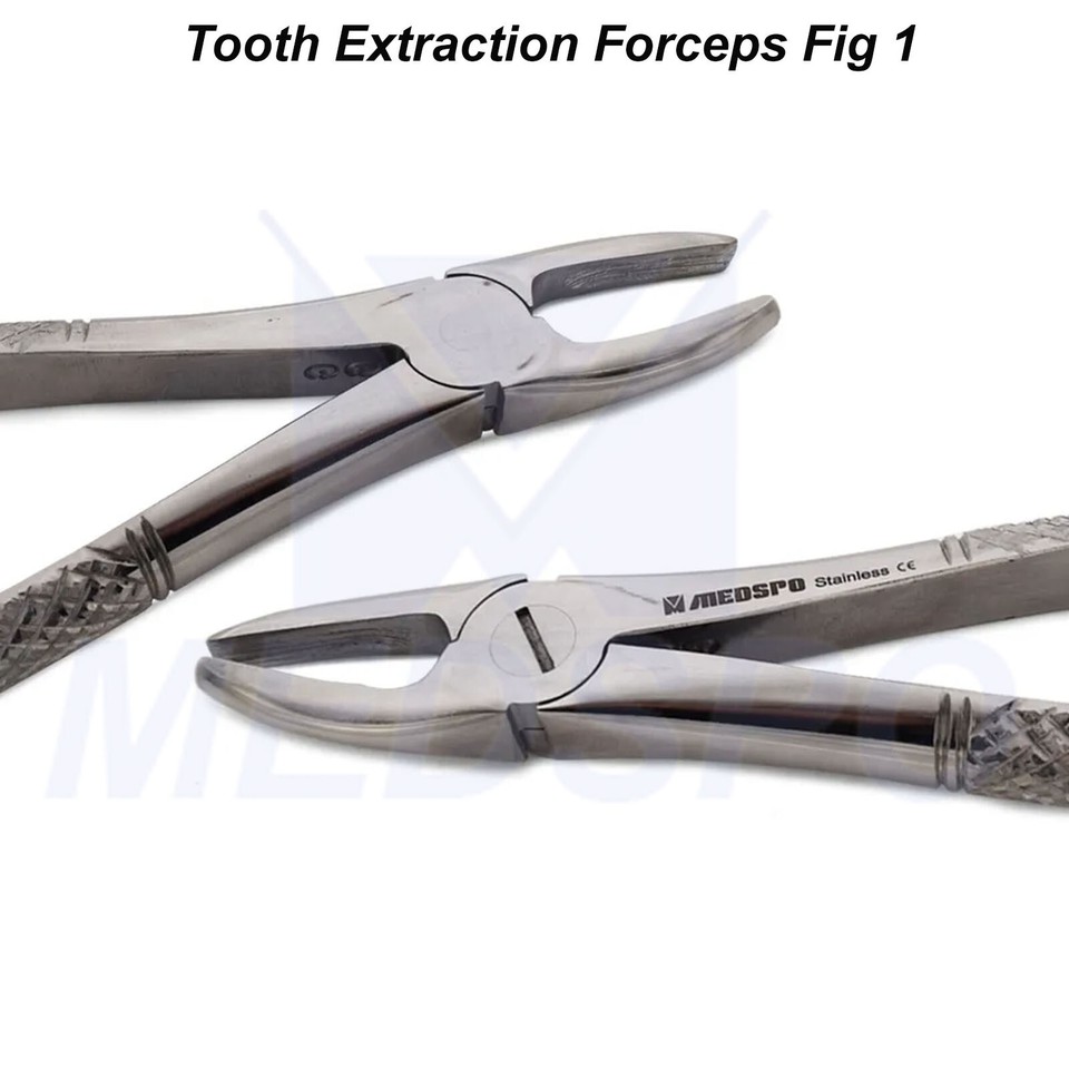 Dental Upper Root Incisor Children Tooth Extraction Forceps Fig01 ...