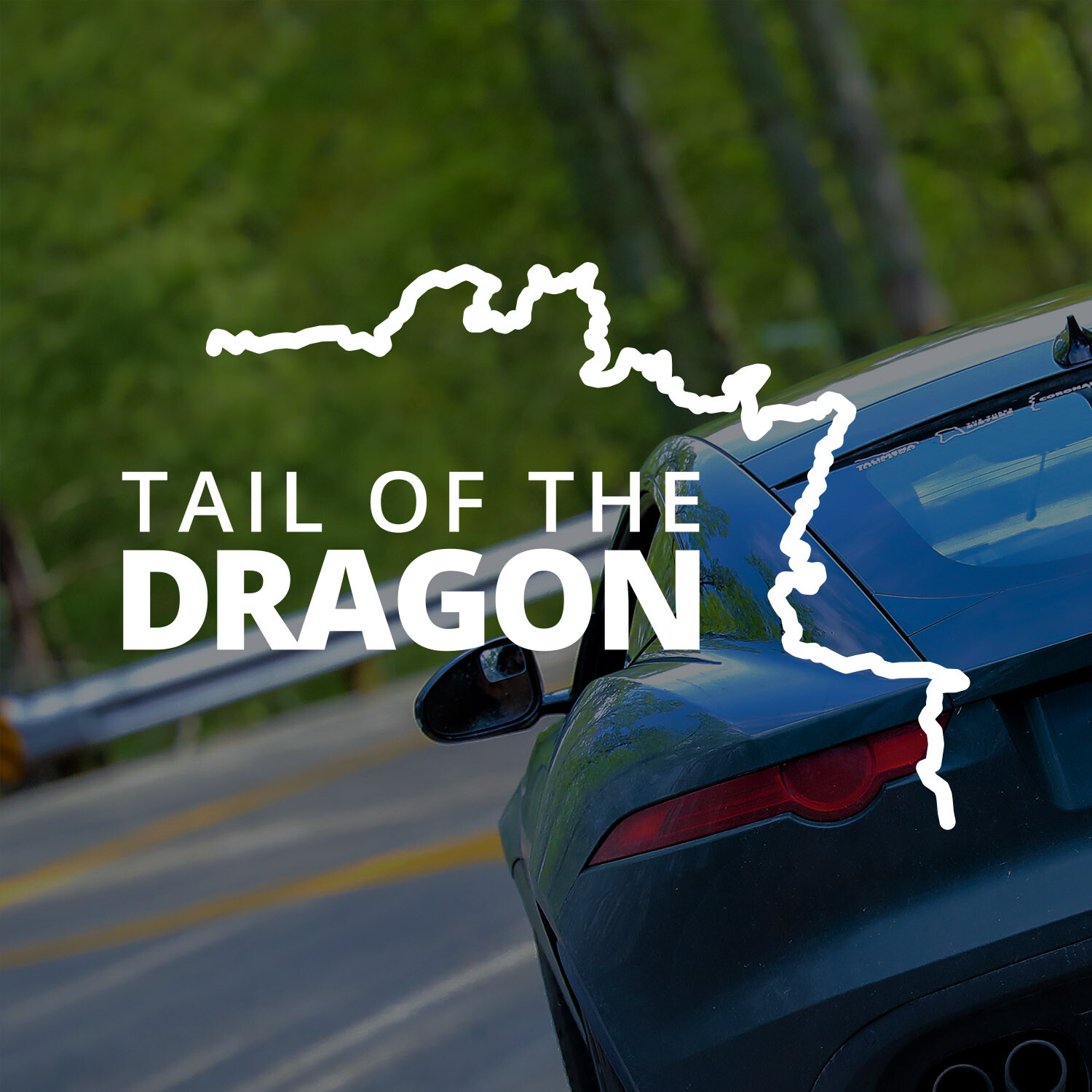 Tail of the Dragon Car Decal Sticker - 6" by 4" | eBay
